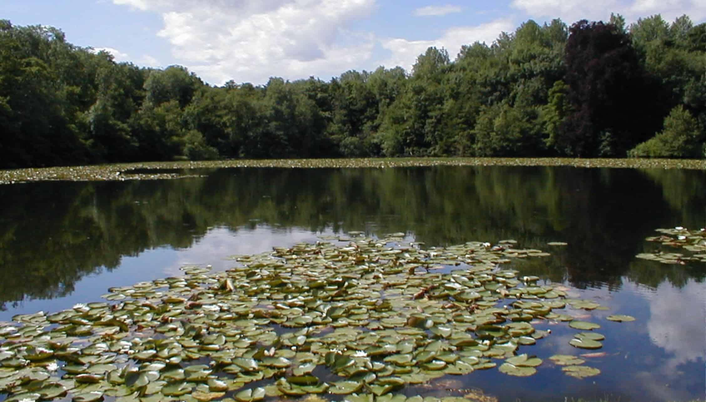 Gunthorpe Hall, Norfolk | Landed Houses