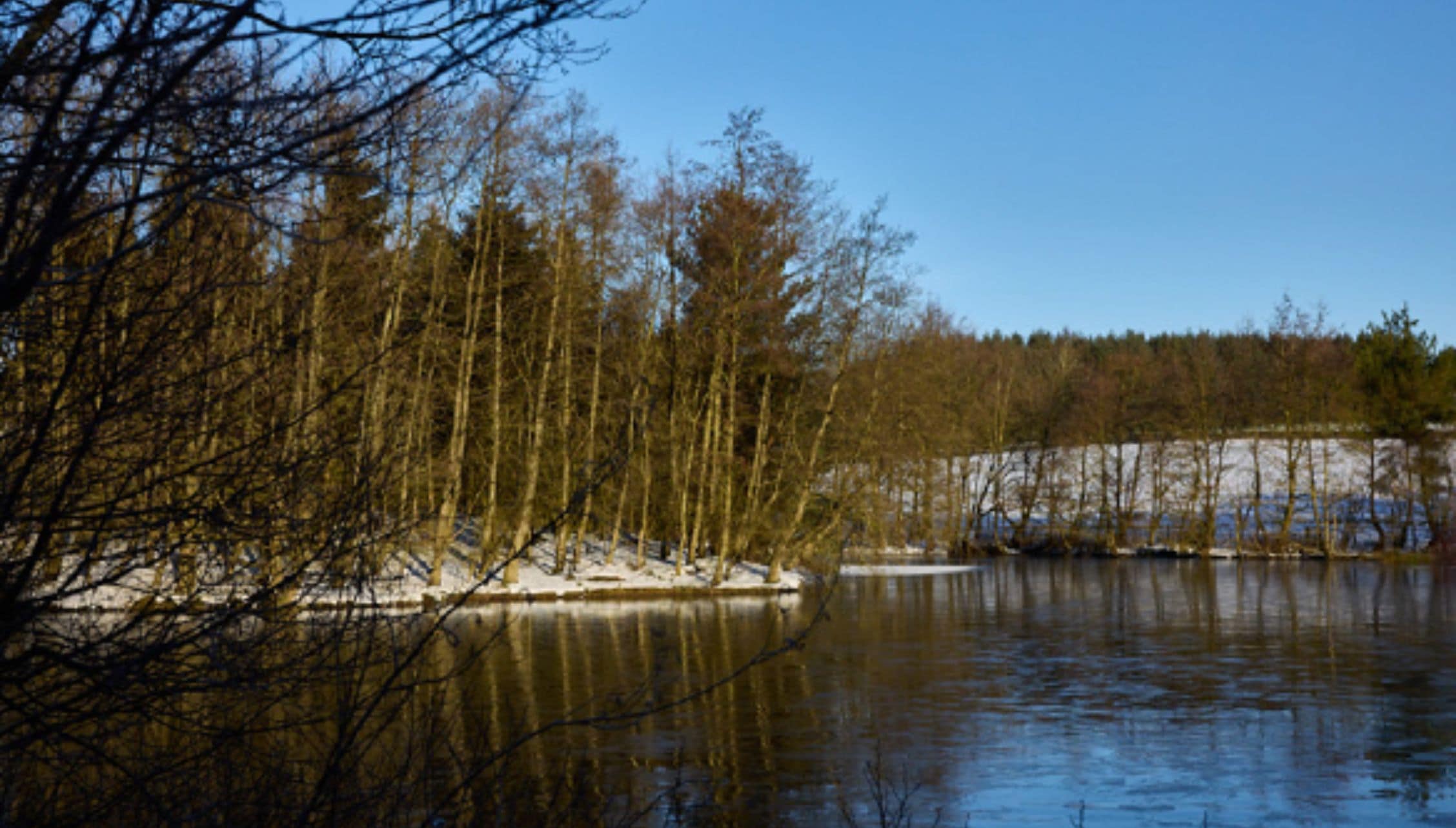 The Hall at Denton Reserve, North Yorkshire | Landed Houses