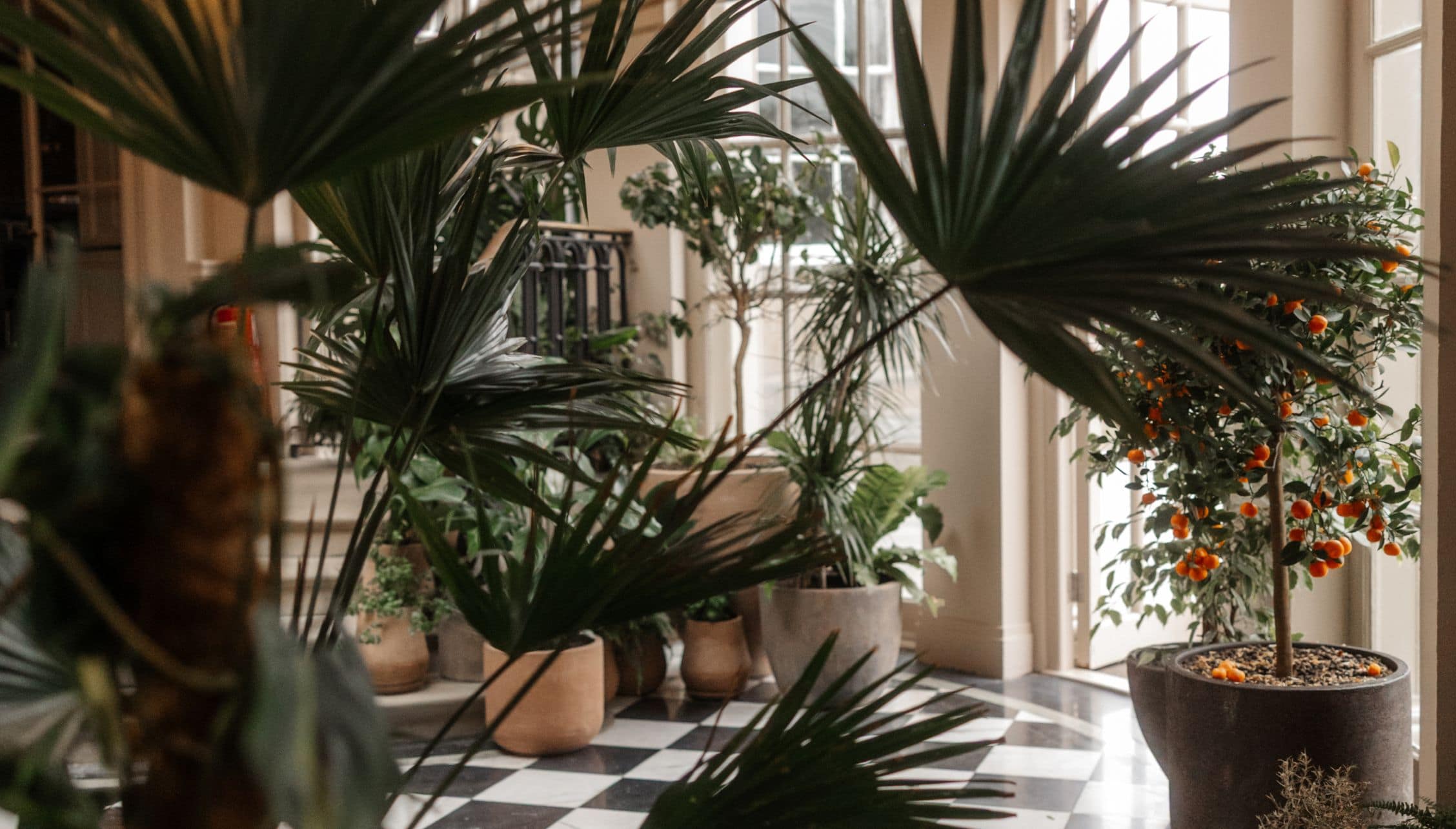 The Hall at Denton Reserve, North Yorkshire | Landed Houses