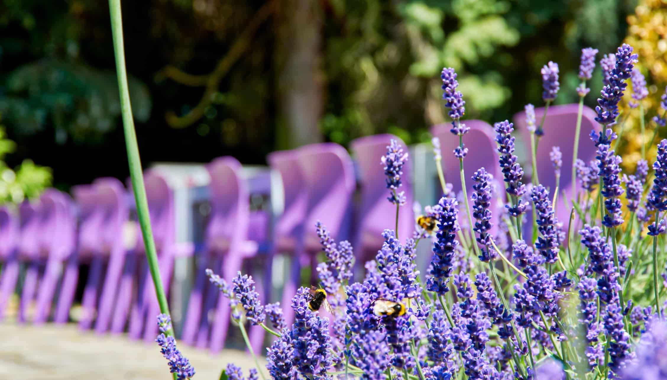 Stretton House, Derbyshire | Landed Houses